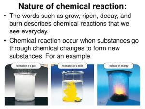 Chemical reactions in nature Understanding natural processes and ...